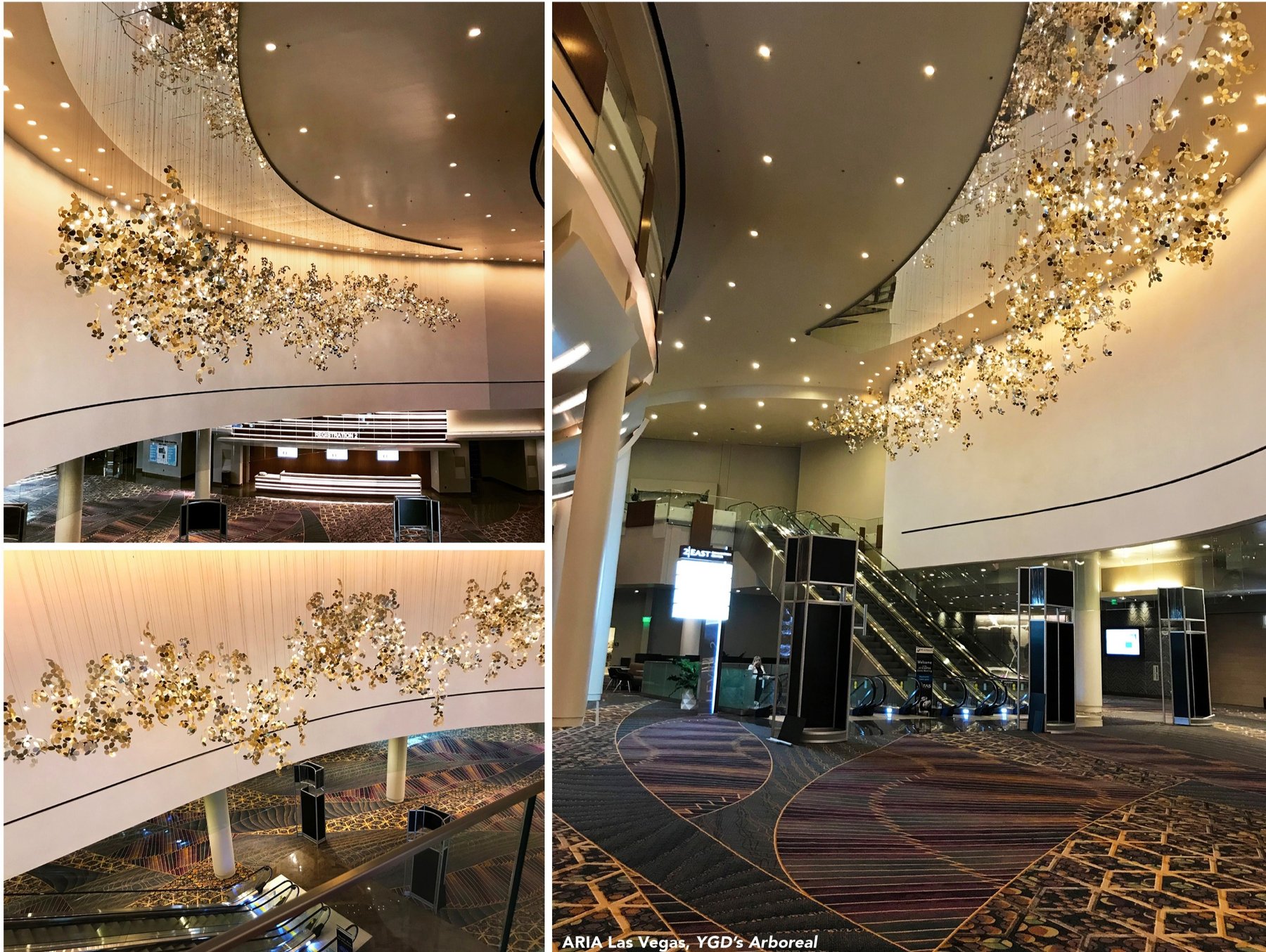 ARIA Vegas Rocks YGD’s Arboreal